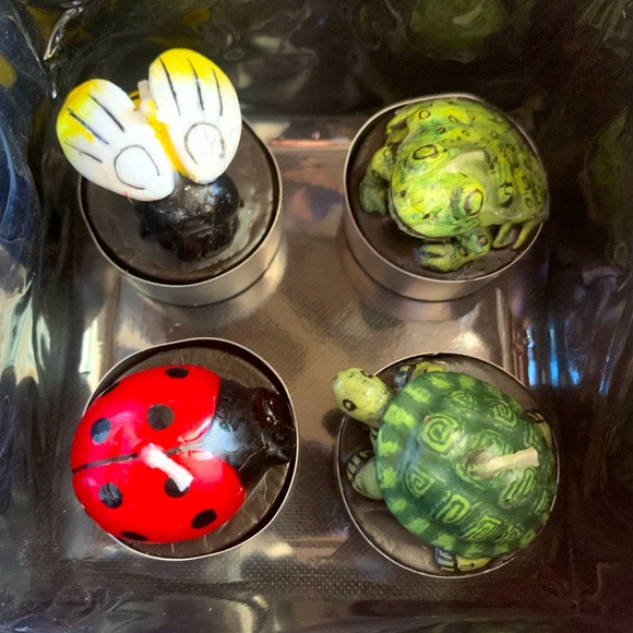 Accents | Cute Lady Bug Bumble Bee Turtle Frog 4 Pc Gift Set Votive Tea ...